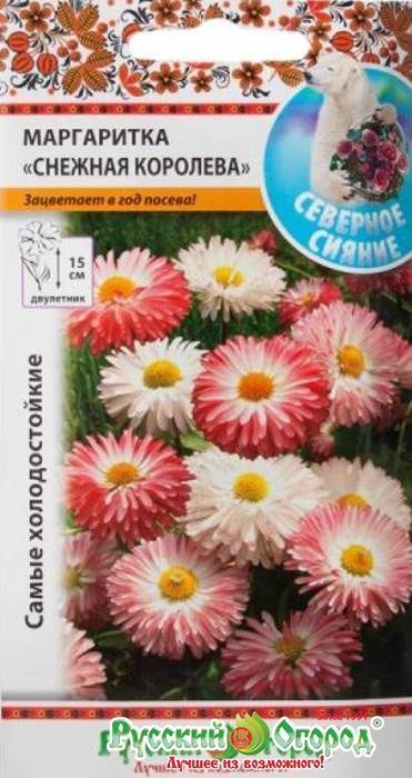 Маргаритка Снежная Королева, смесь окрасок – купить в питомнике по цене ...