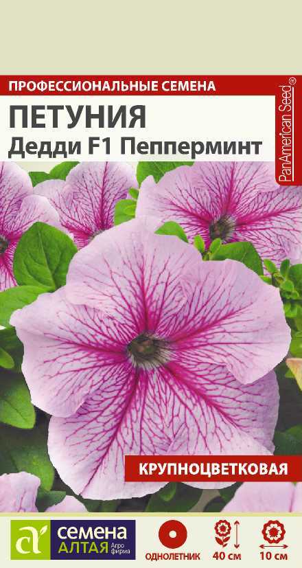 Петуния Дедди Пепперминт F1, семена – купить в питомнике по цене 117 ...